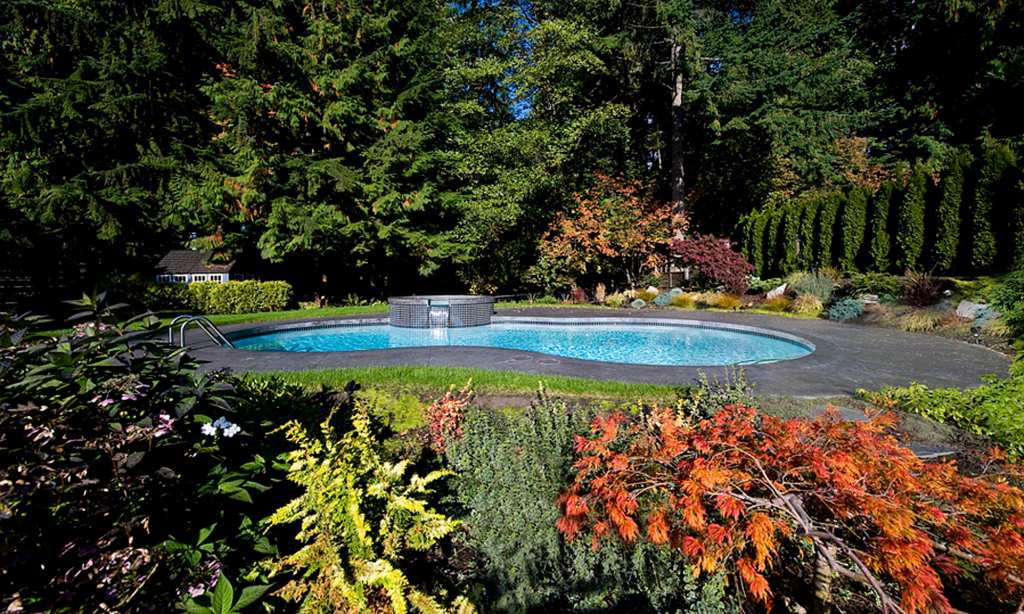 Embracing Fall | ALKA POOL